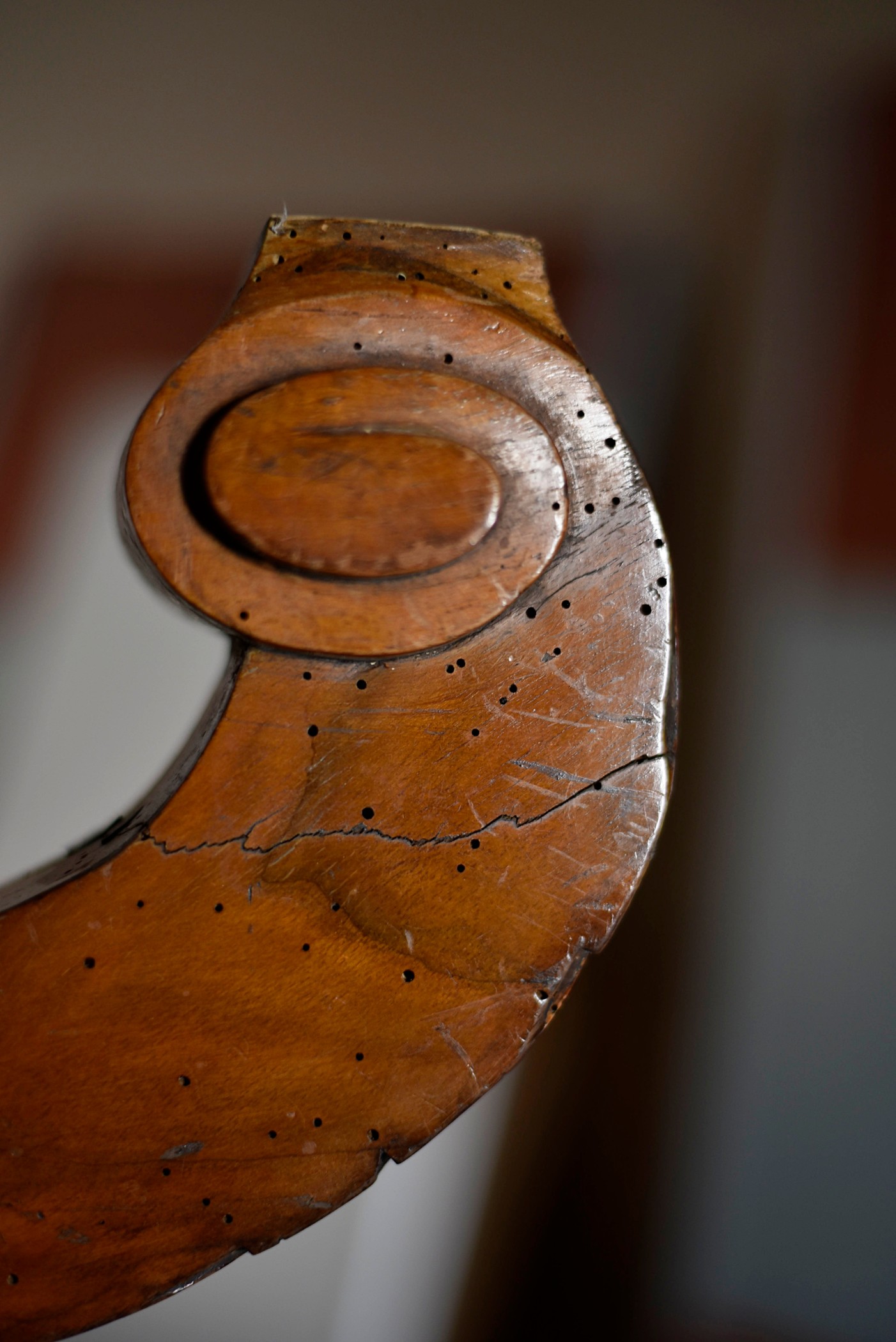 Tratamiento Madera - Termitas - Carcoma - Polillas - Cepla Canarias